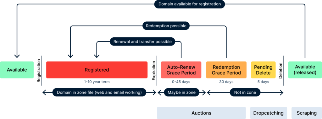 Domain life cycle – how domains expire and get deleted - Easy Blog Networks